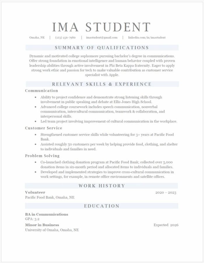 Top Functional Resume Example For Students | The Career Counter