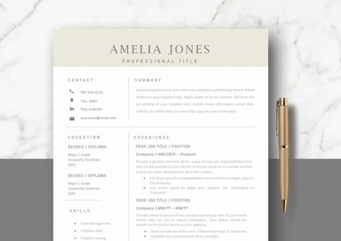 Modern Resume Template Package